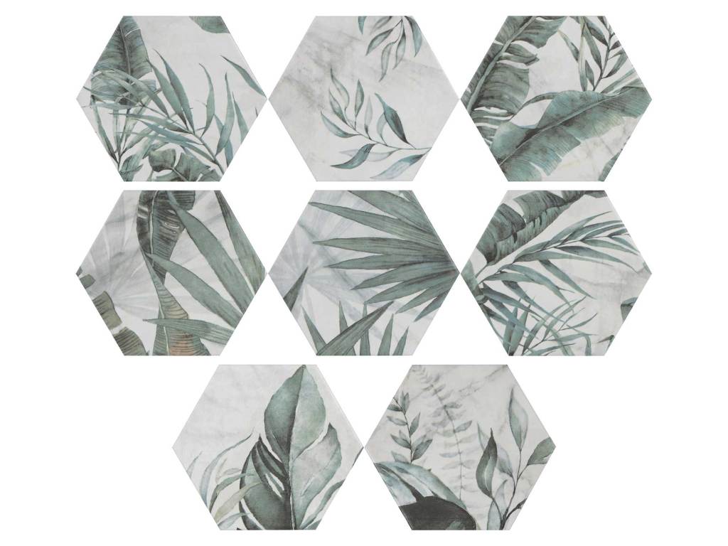 BALANDRA - Dune México